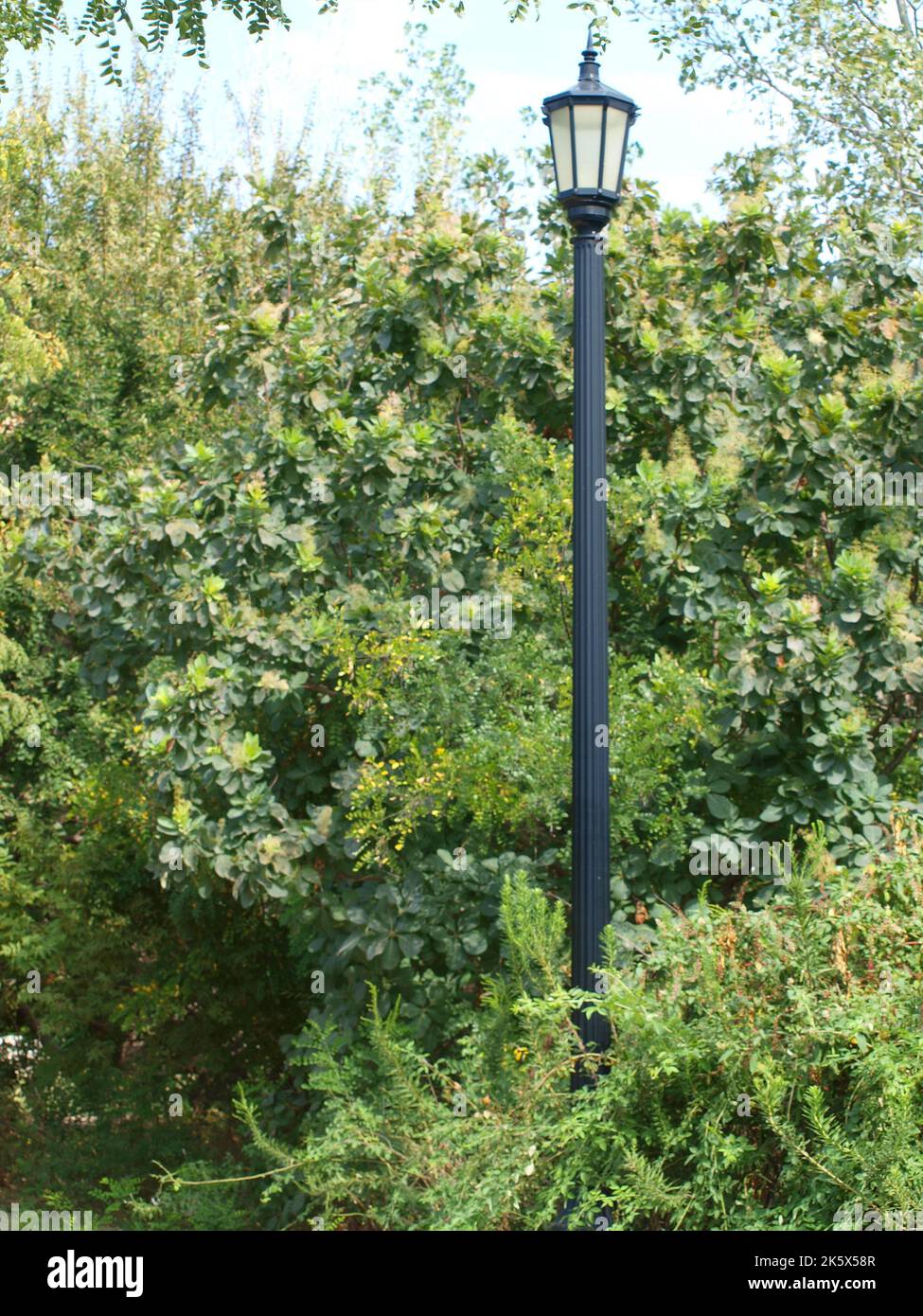 George W Bush Presidential Center & Park Nature Trails Stock Photo - Alamy