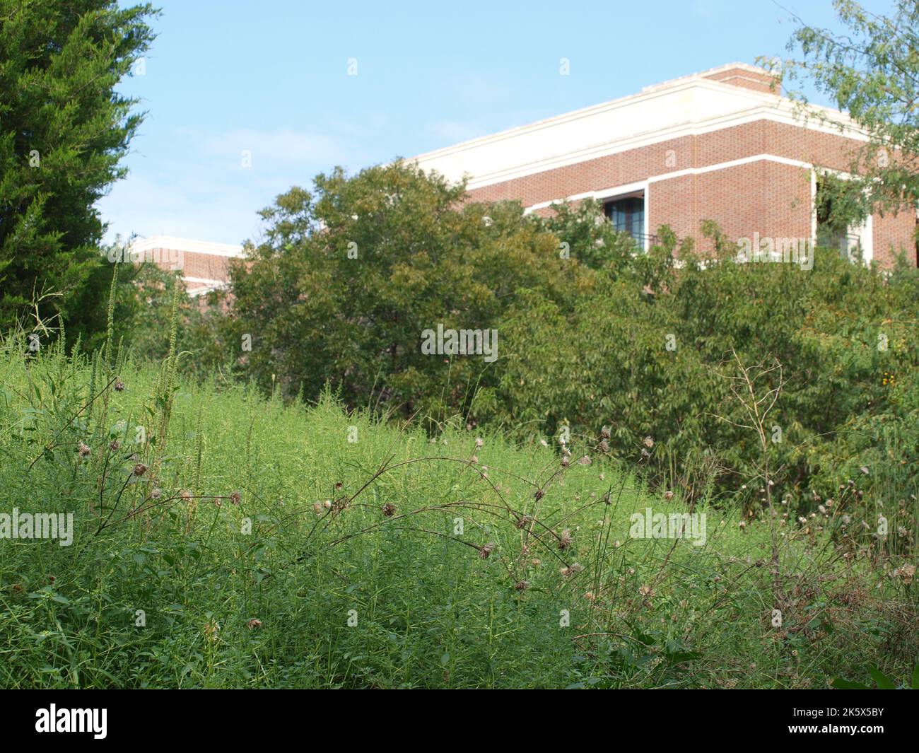 George W Bush Presidential Center & Park Nature Trails Stock Photo - Alamy
