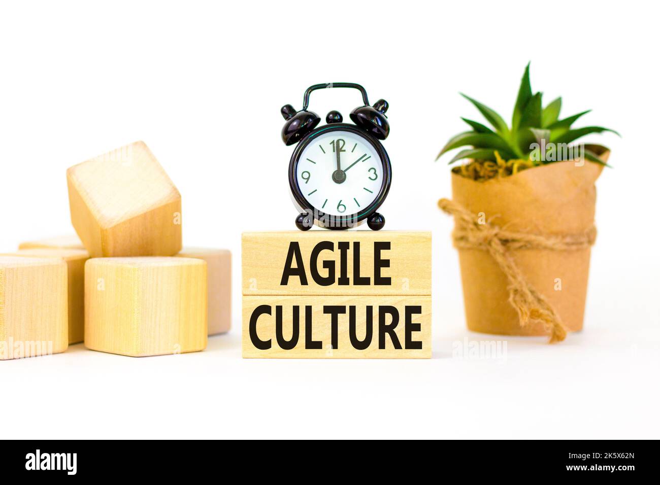 Agile culture symbol. Concept words Agile culture on wooden blocks ...