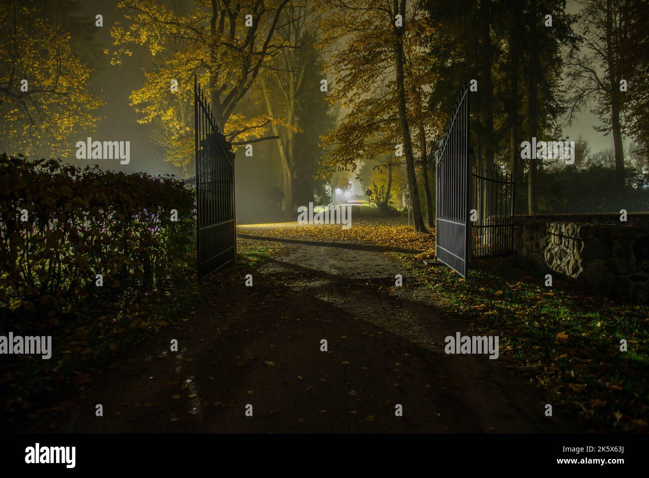 Tall gates mist hi-res stock photography and images - Alamy