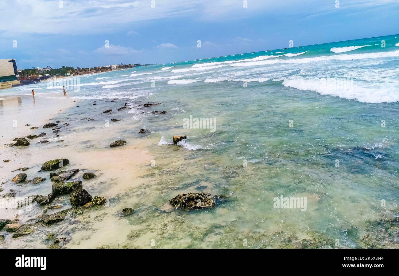 Hurricane 2021 thunderstorm tropical storm with the view on high strong ...