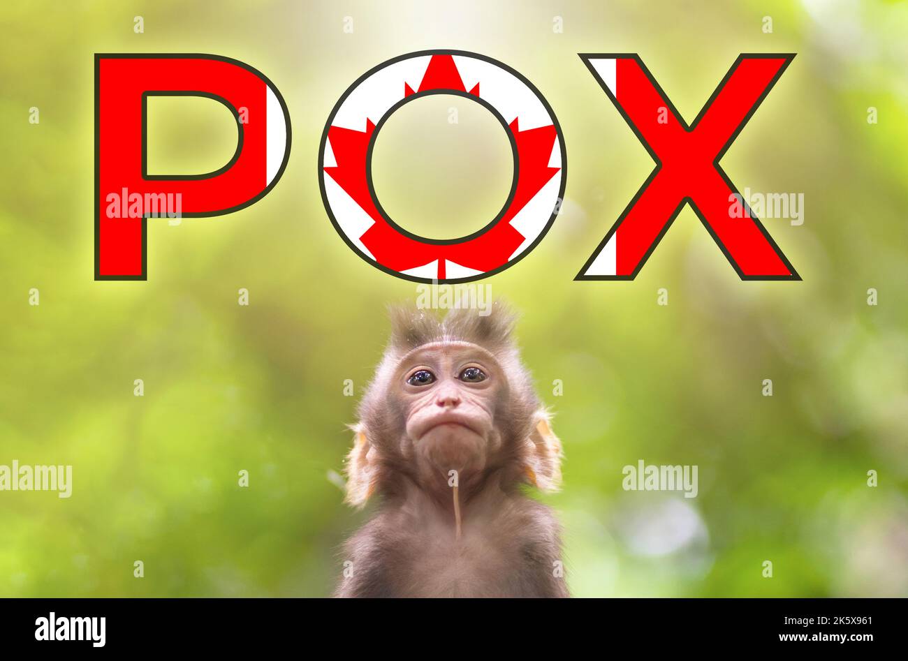 A new outbreak of viral infection in Canada, monkey pox. Little monkey ...