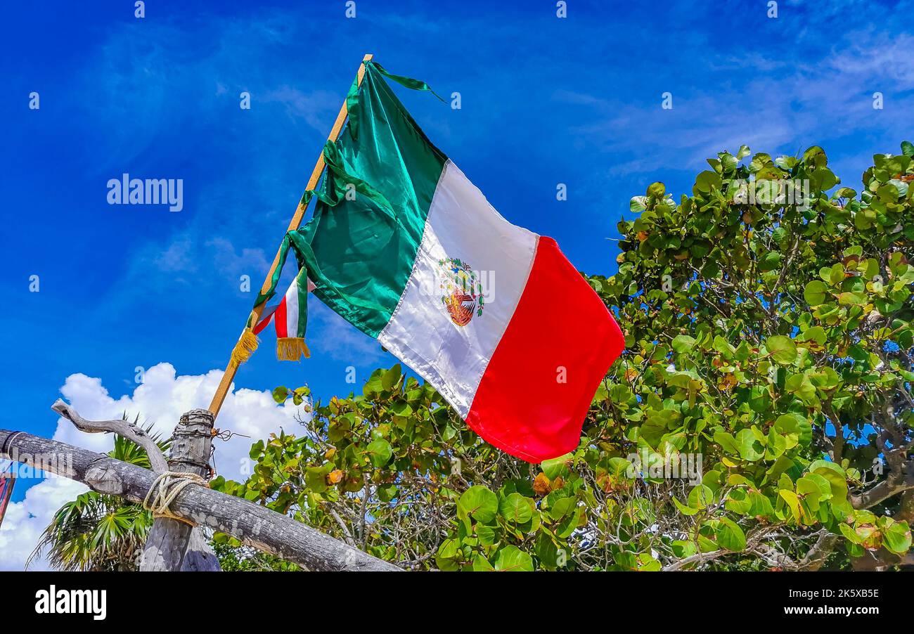 Mexican green white red flag with blue sky and palm trees in Playa del ...