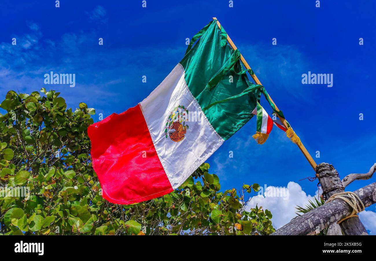 Mexican green white red flag with blue sky and palm trees in Playa del ...