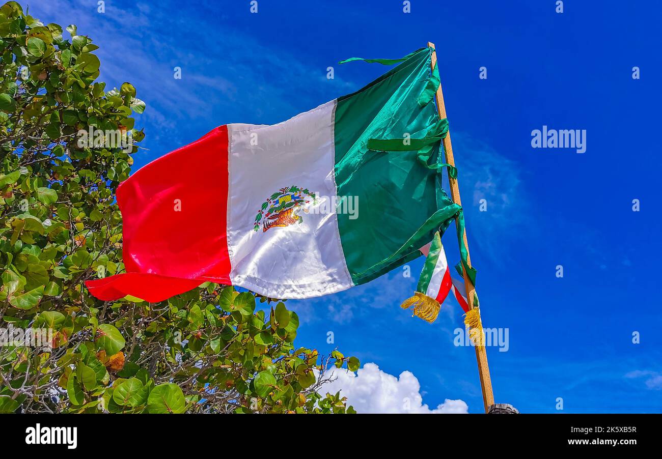 Mexican green white red flag with blue sky and palm trees in Playa del ...
