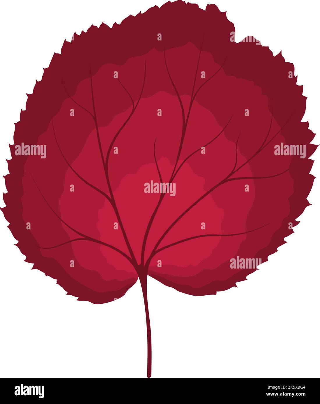 Autumn linden leaf. Leaf fall. Vector illustration Stock Vector Image ...