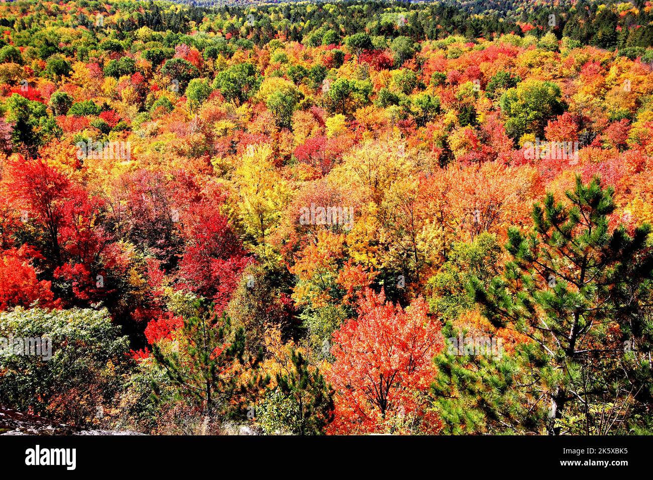 An aerial view of Booth's Rock Trail with autumn trees in Ontario ...