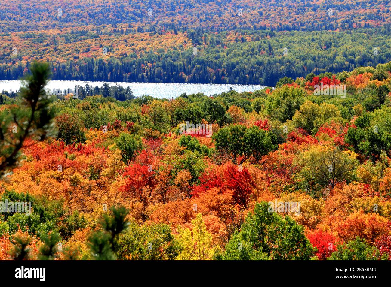 An aerial view of Booth's Rock Trail with autumn trees by the lake in ...
