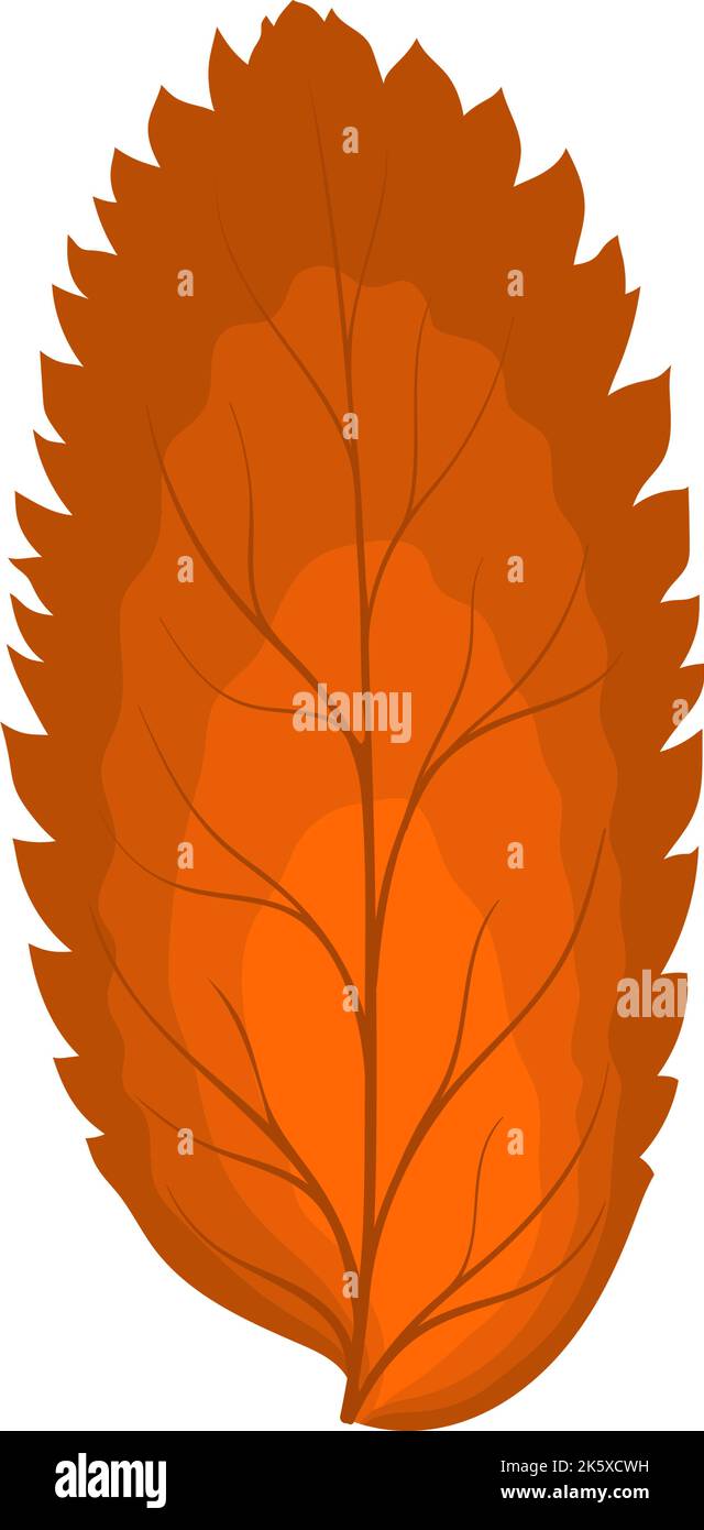 Autumn Rowan leaf. Leaf fall. Vector illustration Stock Vector Image ...