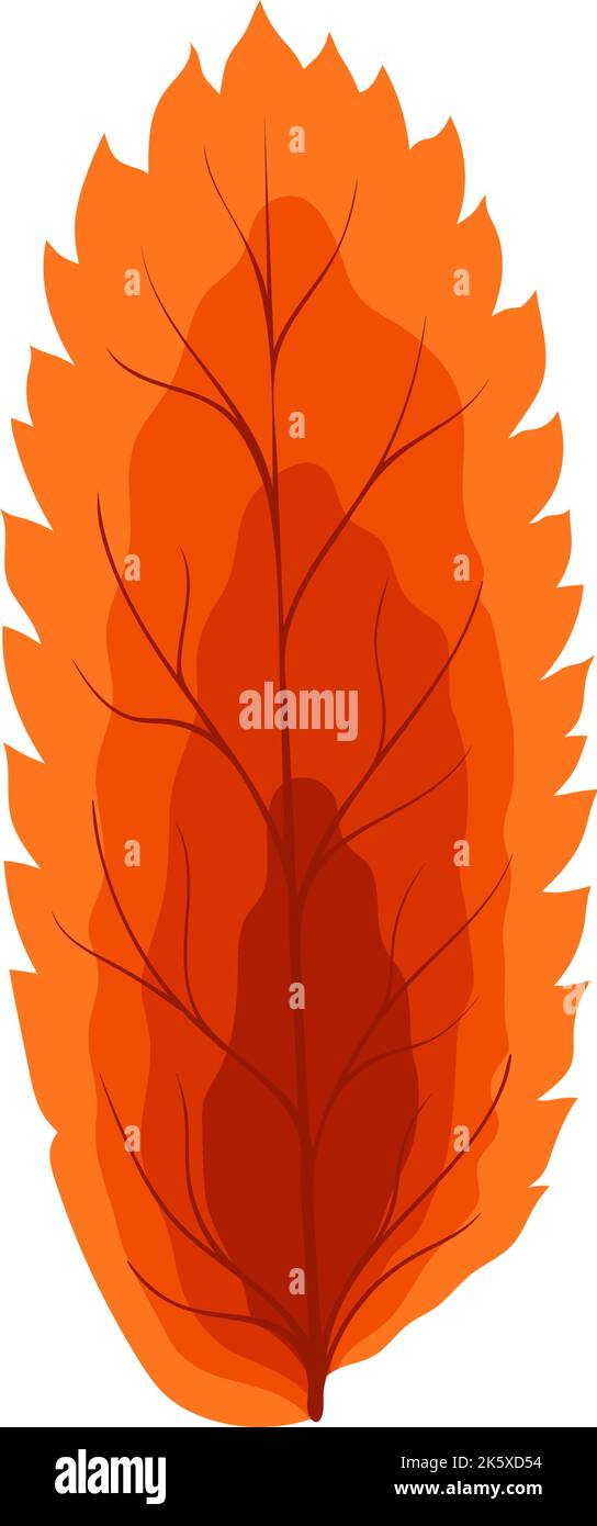 Autumn Rowan leaf. Leaf fall. Vector illustration Stock Vector Image ...