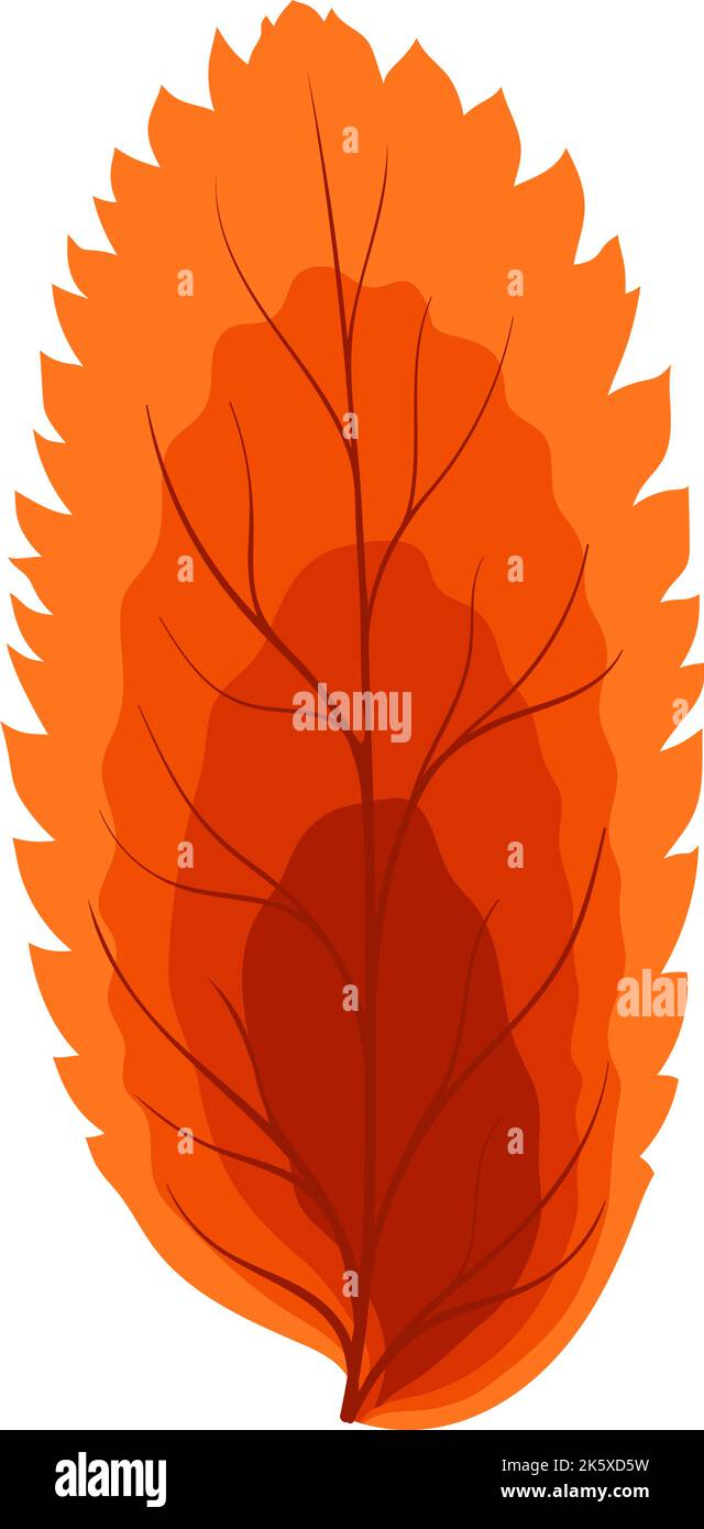 Autumn Rowan leaf. Leaf fall. Vector illustration Stock Vector Image ...