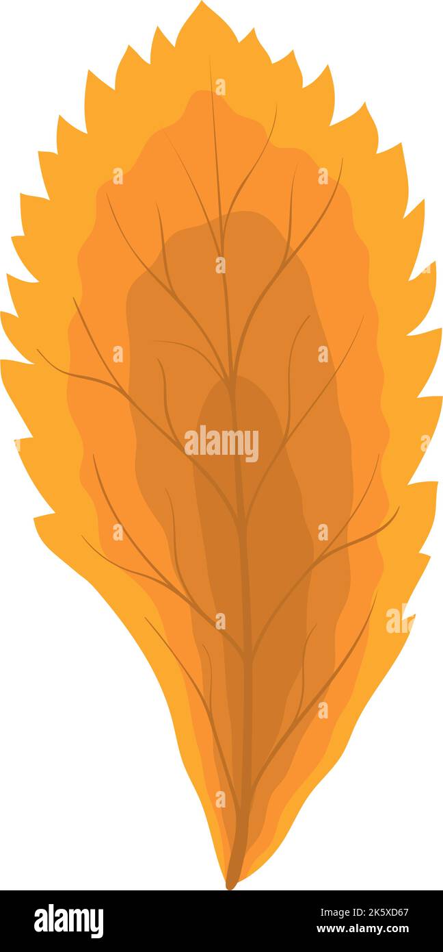 Autumn Rowan leaf. Leaf fall. Vector illustration Stock Vector Image ...
