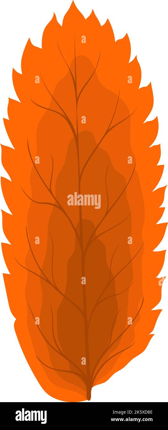 Autumn Rowan leaf. Leaf fall. Vector illustration Stock Vector Image ...