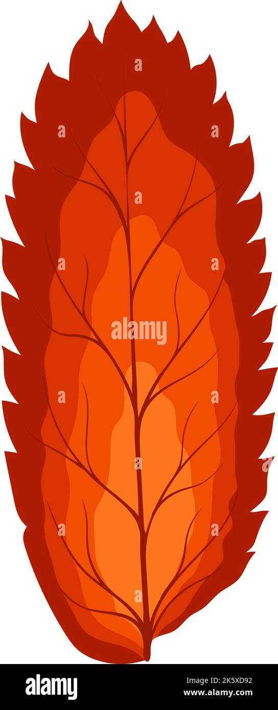 Autumn Rowan leaf. Leaf fall. Vector illustration Stock Vector Image ...