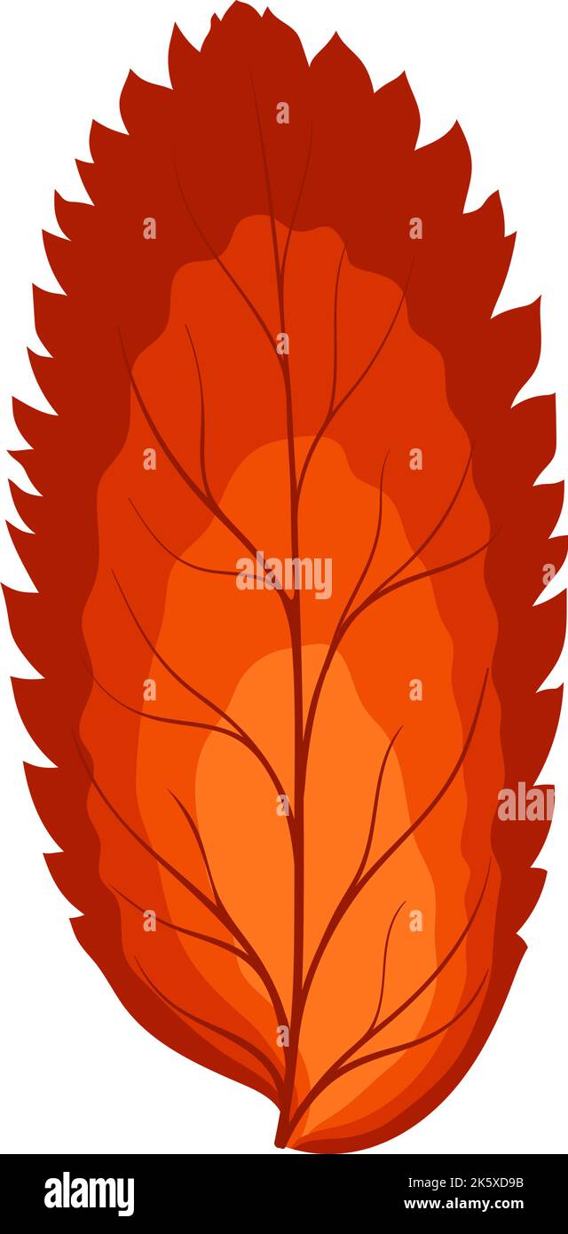 Autumn Rowan leaf. Leaf fall. Vector illustration Stock Vector Image ...