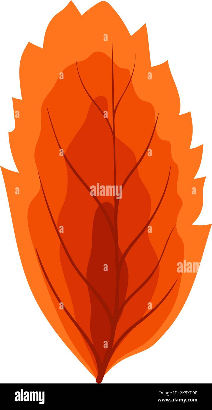 Autumn Rowan leaf. Leaf fall. Vector illustration Stock Vector Image ...