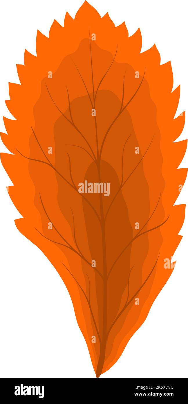 Autumn Rowan leaf. Leaf fall. Vector illustration Stock Vector Image ...