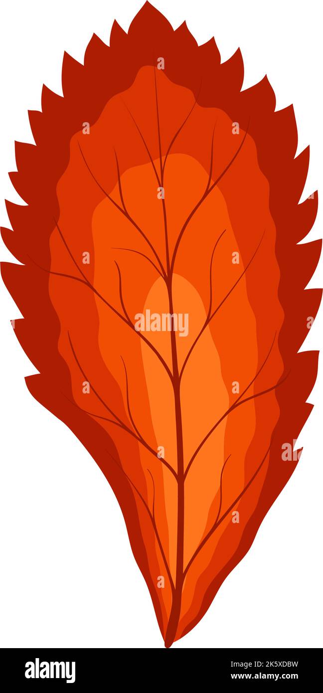 Autumn Rowan leaf. Leaf fall. Vector illustration Stock Vector Image ...