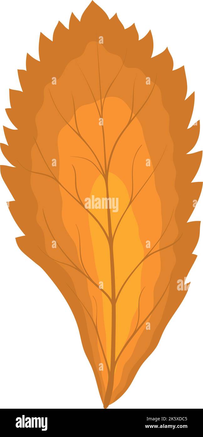 Autumn Rowan leaf. Leaf fall. Vector illustration Stock Vector Image ...