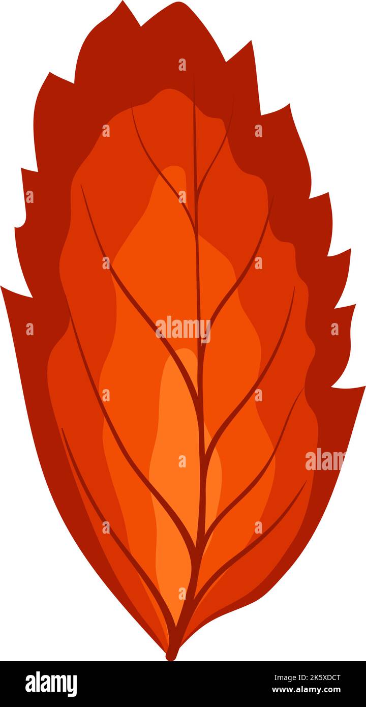 Autumn Rowan leaf. Leaf fall. Vector illustration Stock Vector Image ...