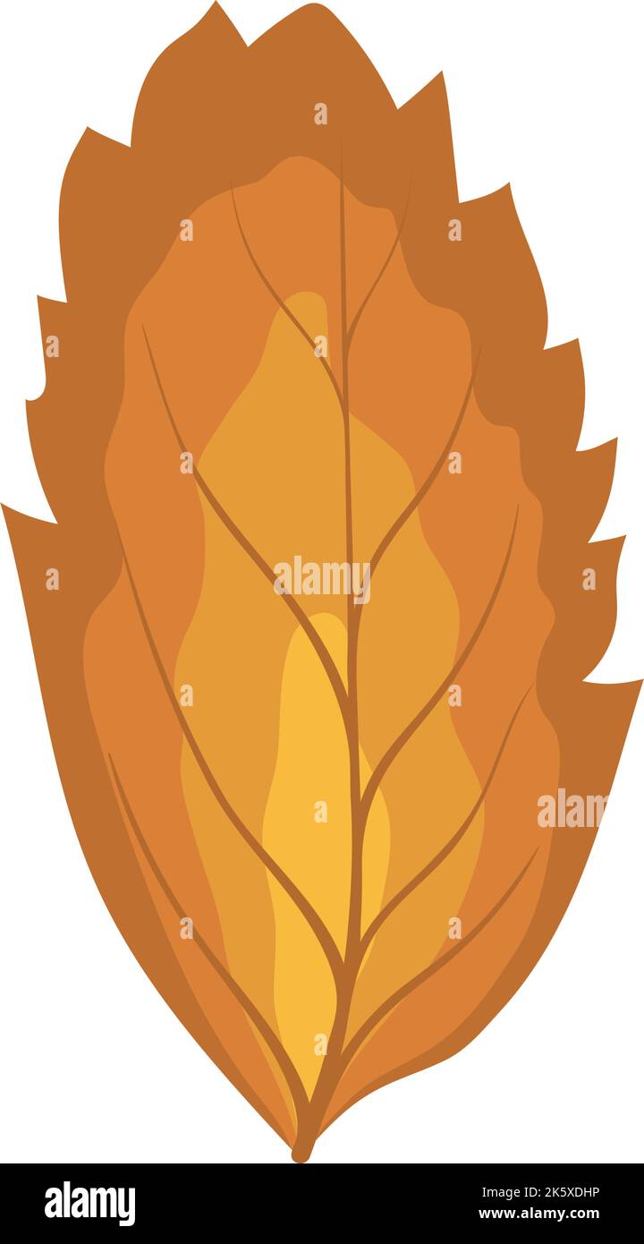 Autumn Rowan leaf. Leaf fall. Vector illustration Stock Vector Image ...