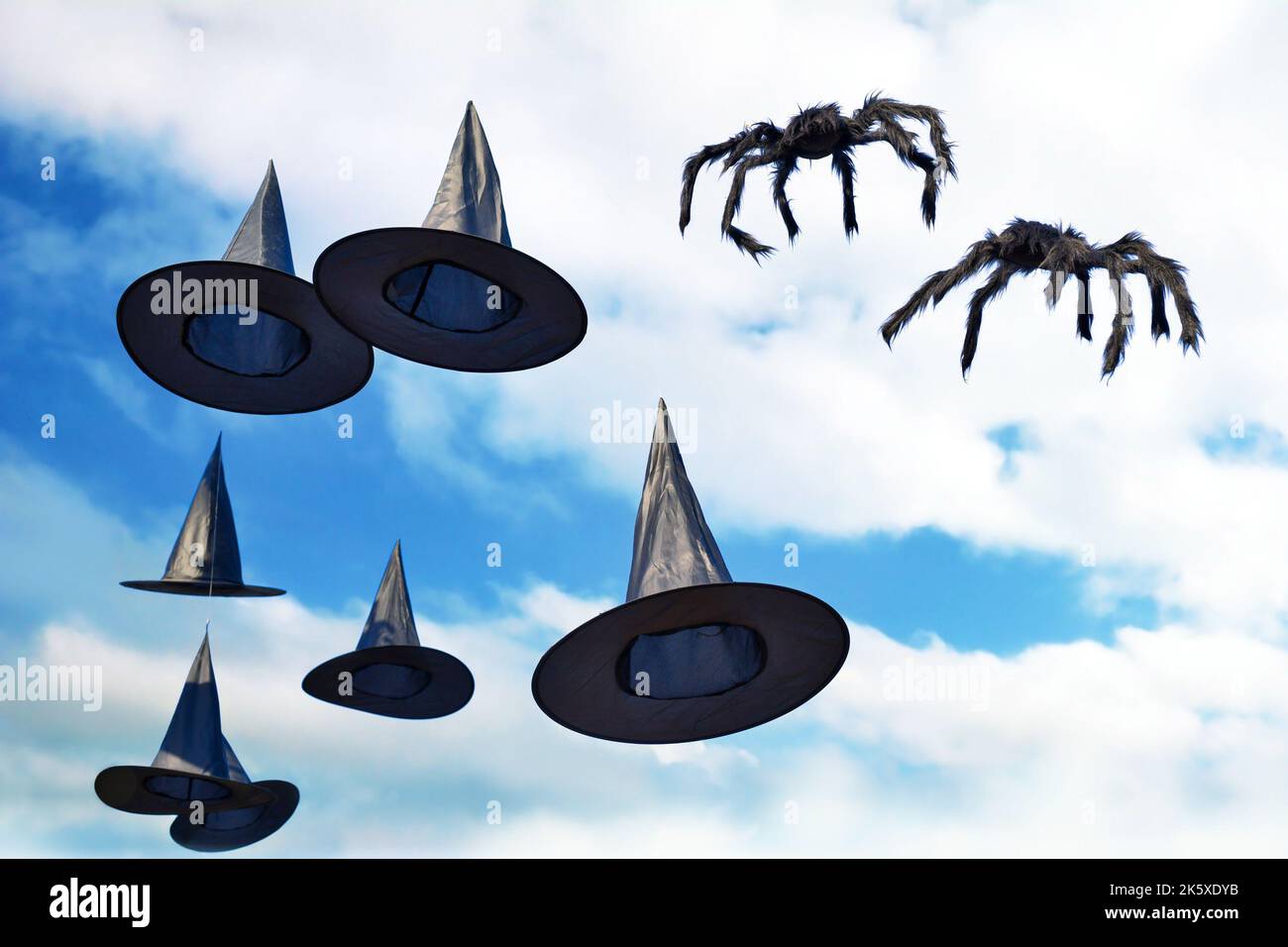 Hanging spiders hi-res stock photography and images - Alamy