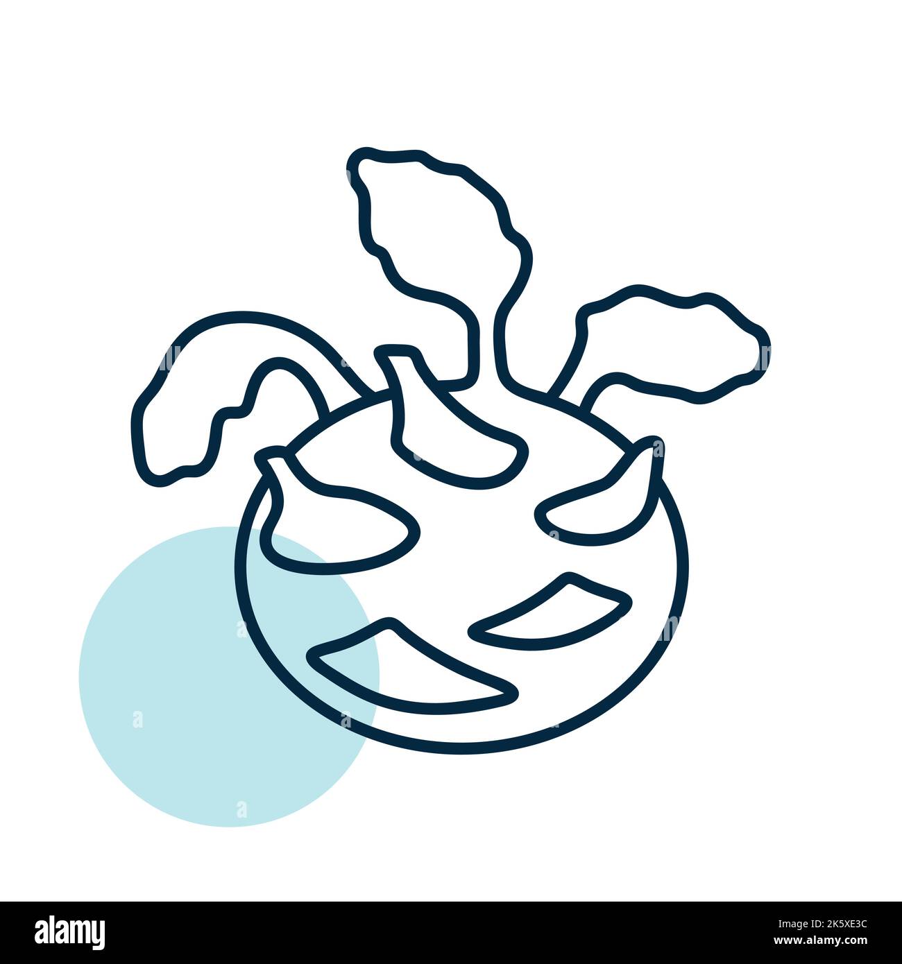 Kohlrabi or German Turnip isolated vector icon. Vegetable sign. Graph ...