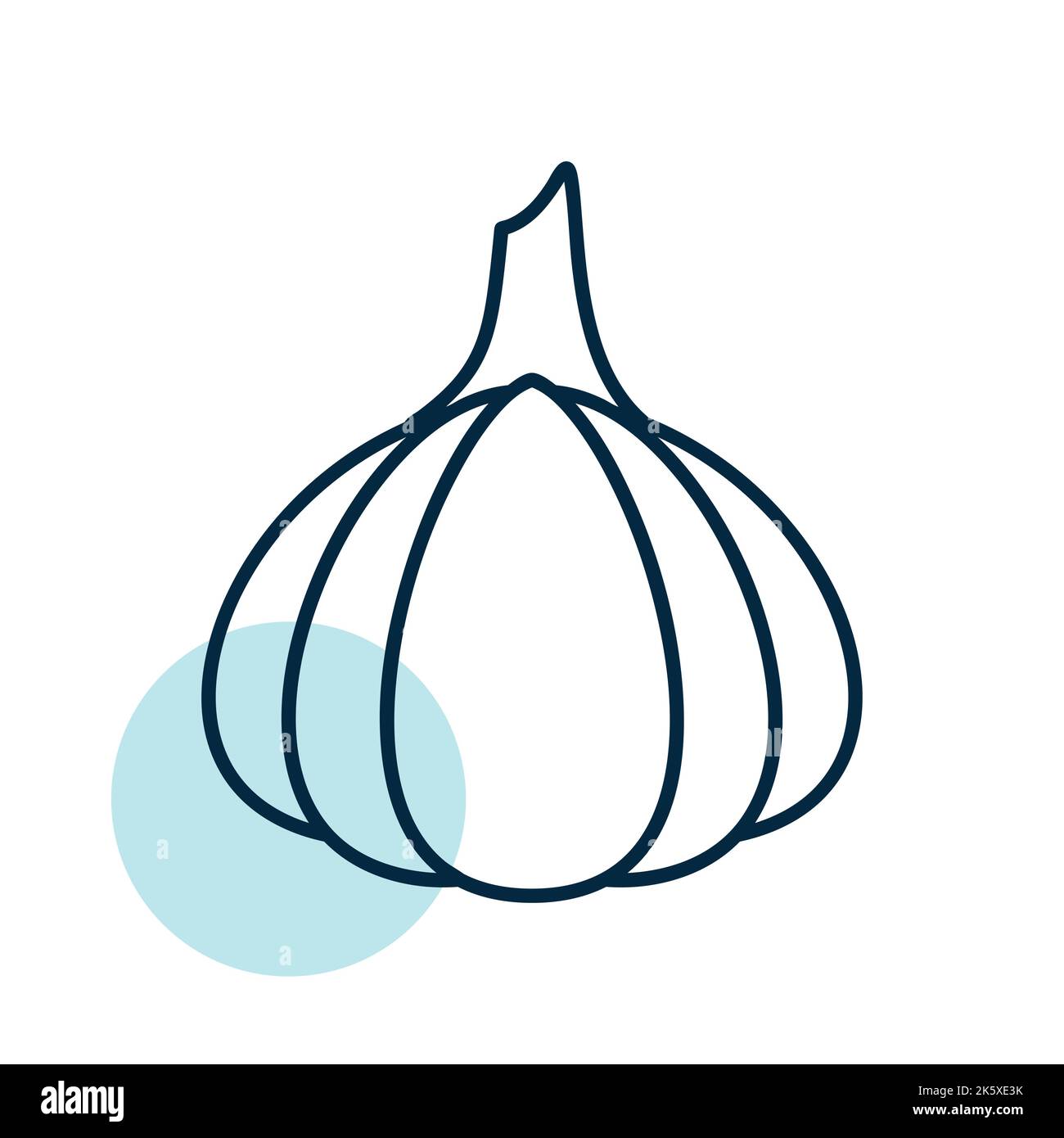 Garlic bulb, allium sativum isolated design vector icon. Vegetable sign ...
