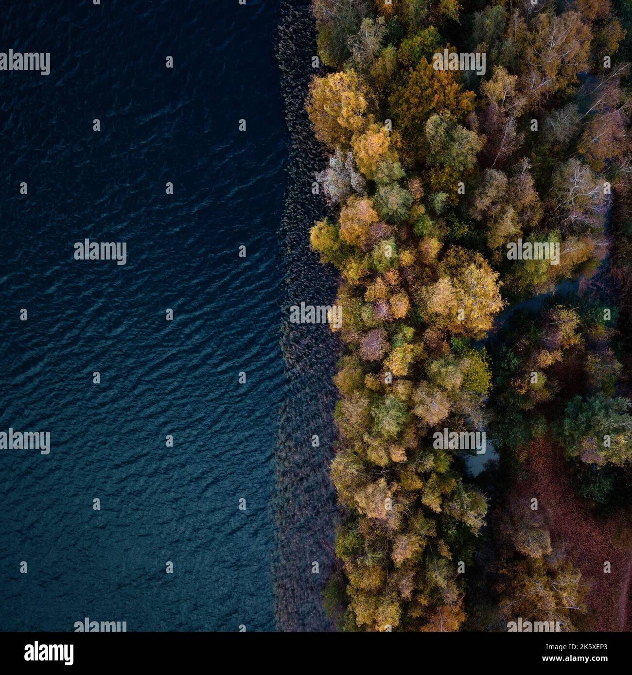 An aerial view of the symmetric coastline with green trees Stock Photo ...