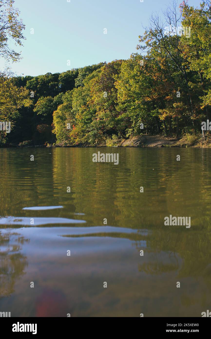 Blast trees hi-res stock photography and images - Alamy
