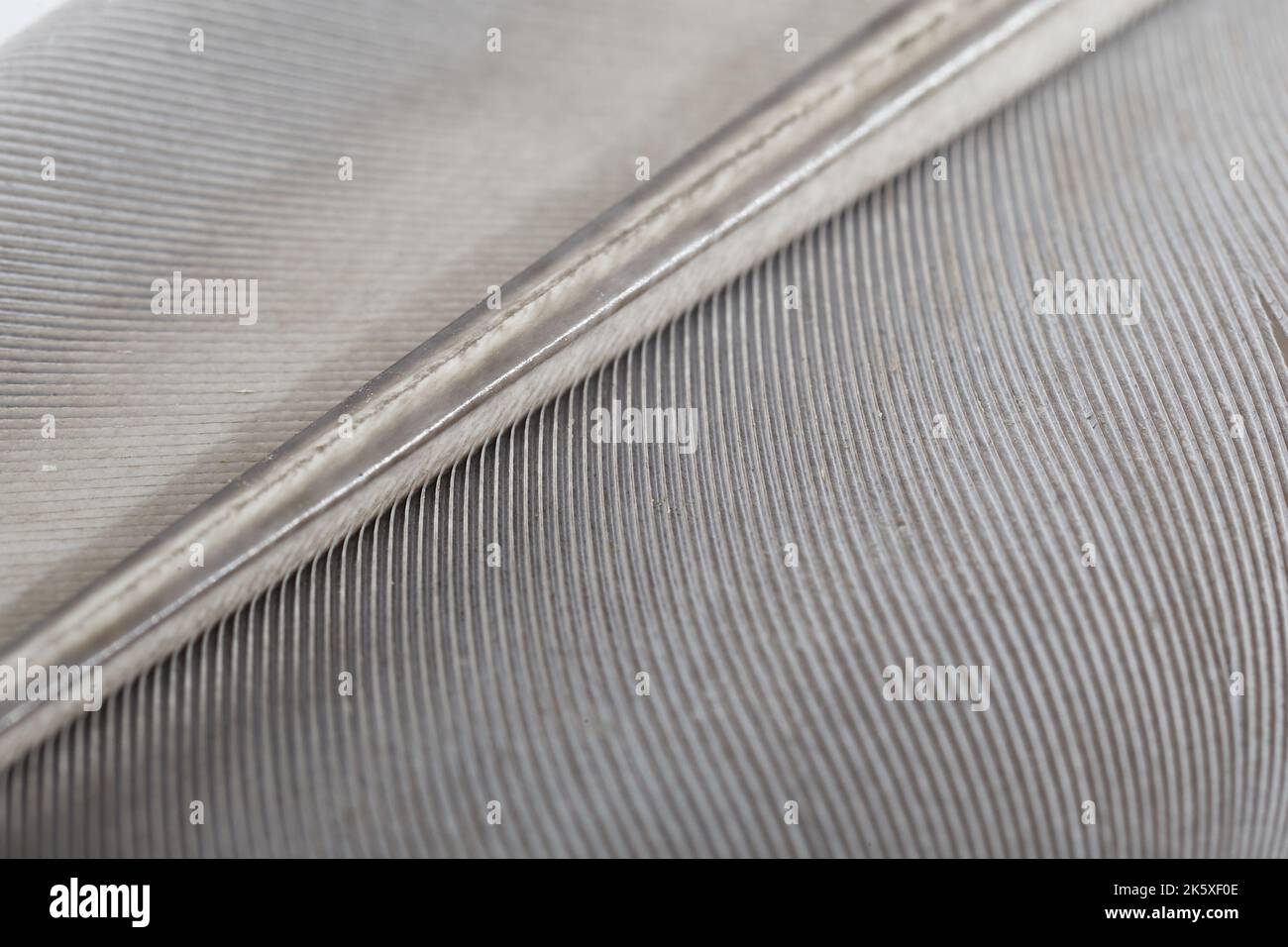 Fragile pattern hi-res stock photography and images - Alamy