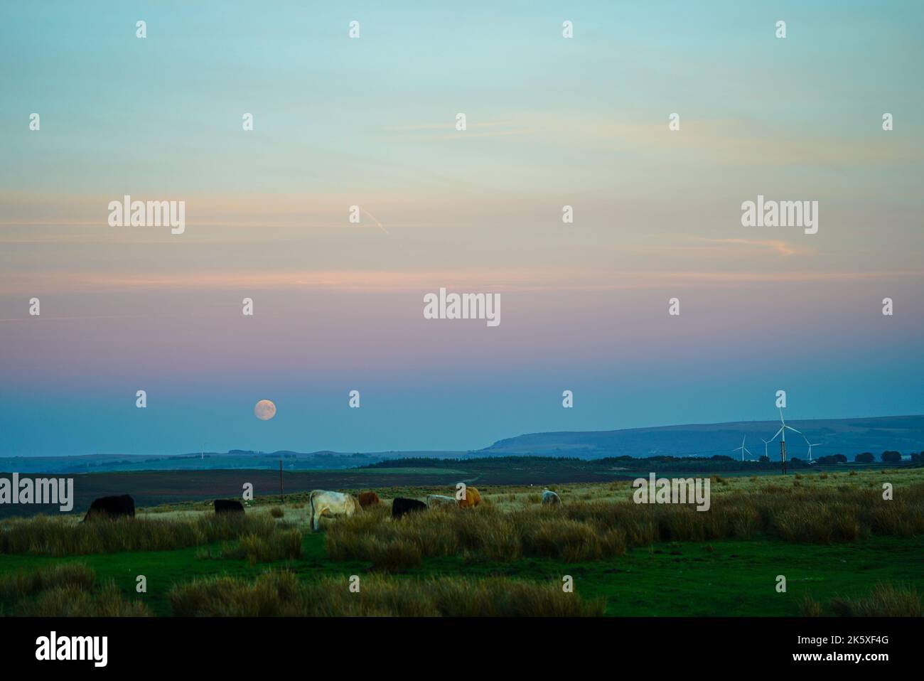Full Moon rise near Carn Bugail in Wales Stock Photo - Alamy