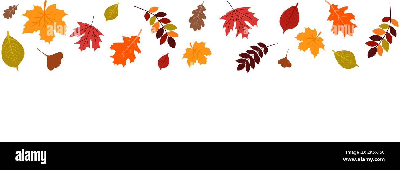 Autumn falling leaves isolated on white background Stock Vector Image ...