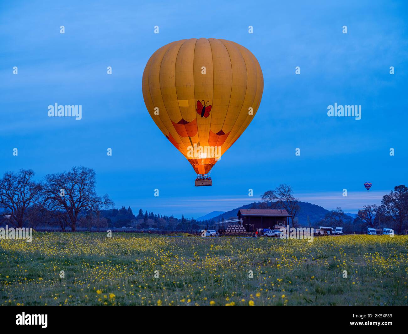 Early Morning Hot Air Balloon Journey Across Napa Valley, California ...