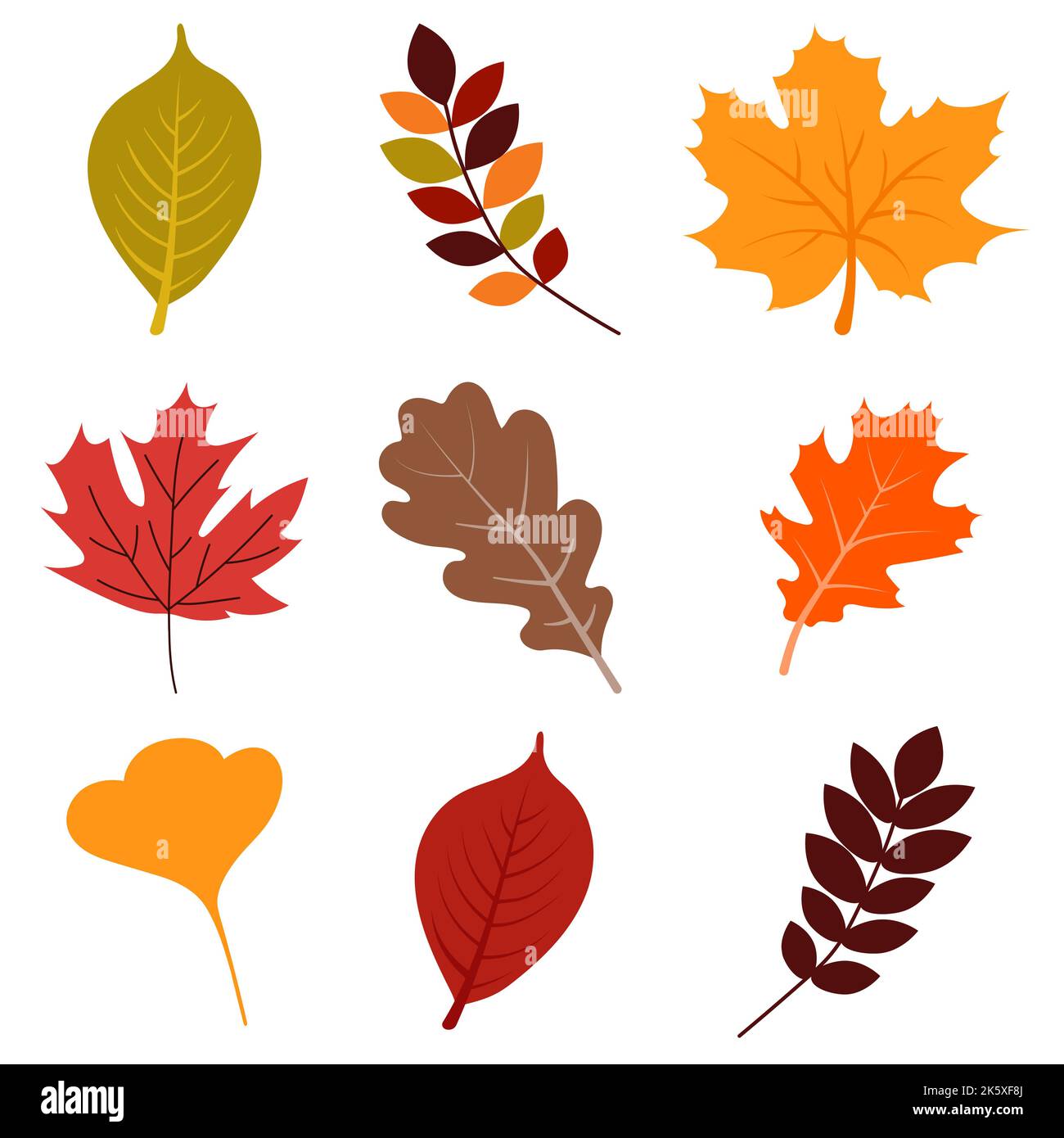 Colorful autumn leaves set. Autumn design element. Vector illustration ...
