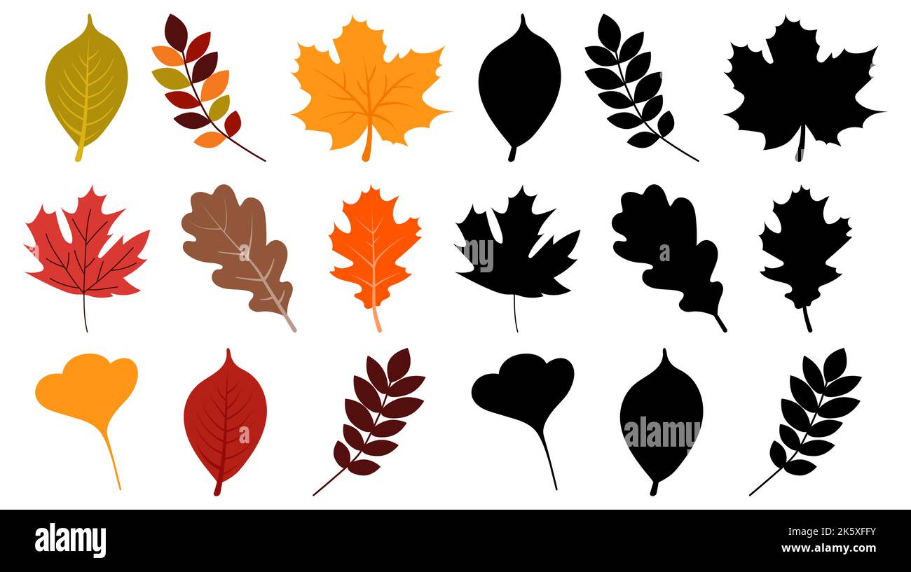 Set of autumn leaves. Silhouettes and colors leaves. Vector ...