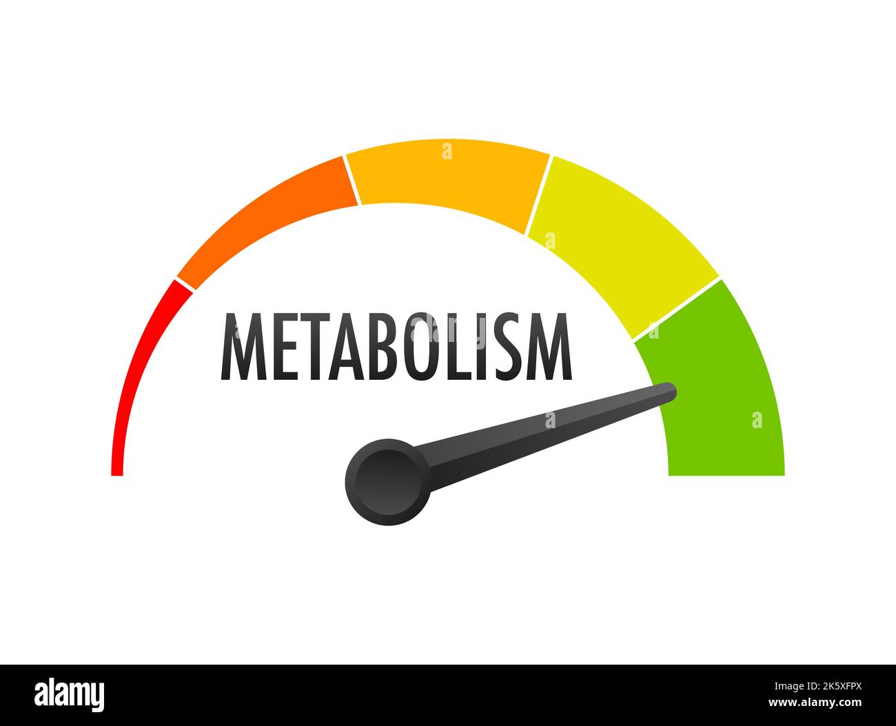 Metabolism level scale. Sign tachometer, speedometer, indicators ...