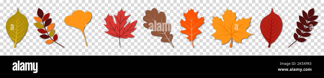 Set of autumn leaves icon. Vector illustration isolated on transparent ...
