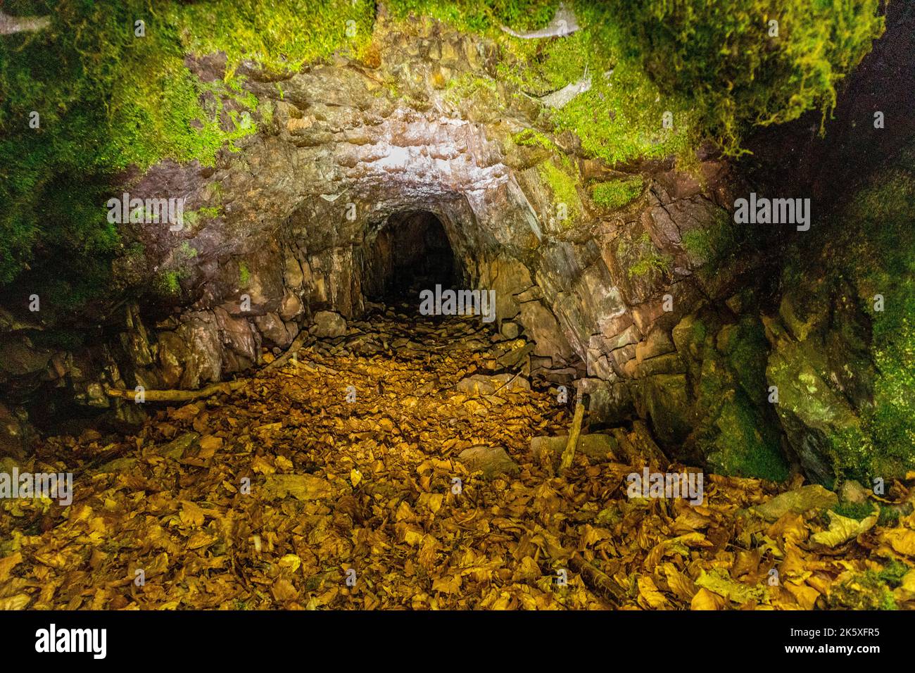 Autumn walk on the high trail of the Thuringian Forest - Thuringia ...