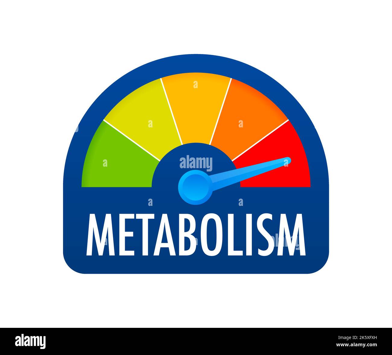Metabolism measurement Stock Vector Images - Alamy