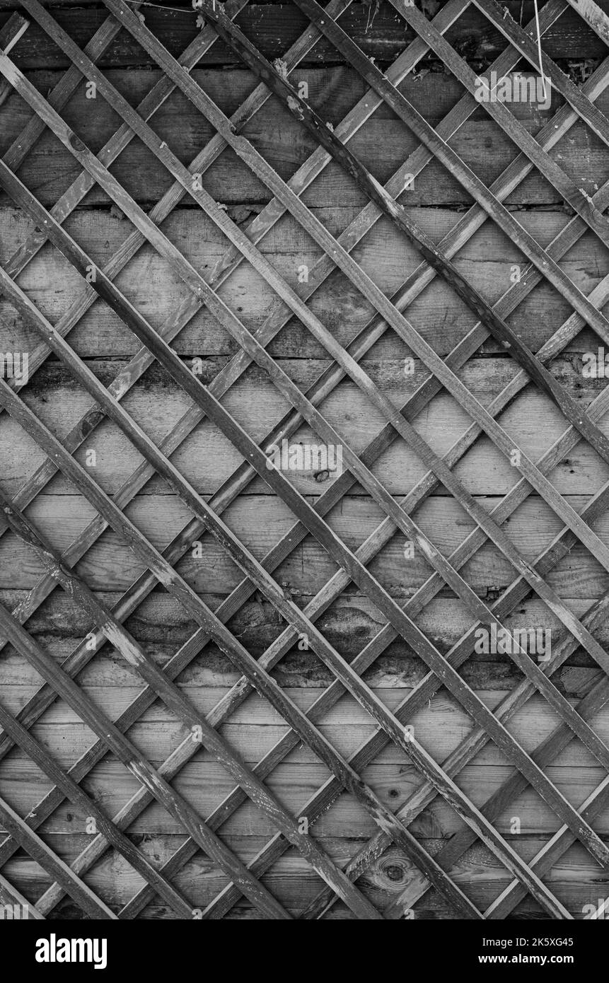 fence made of tree branches boards, Close up of tree trunk in forest ...