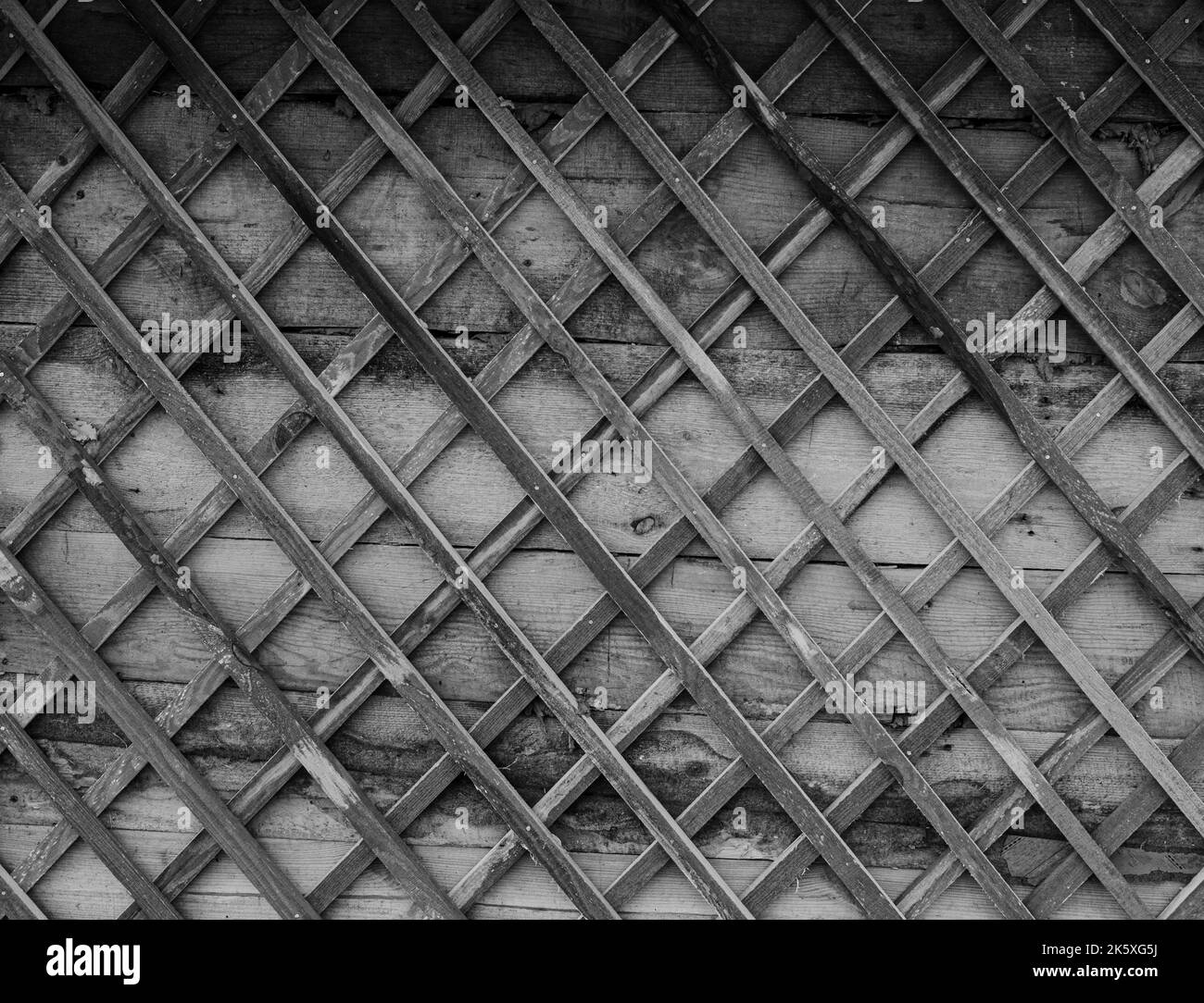 fence made of tree branches boards, Close up of tree trunk in forest ...