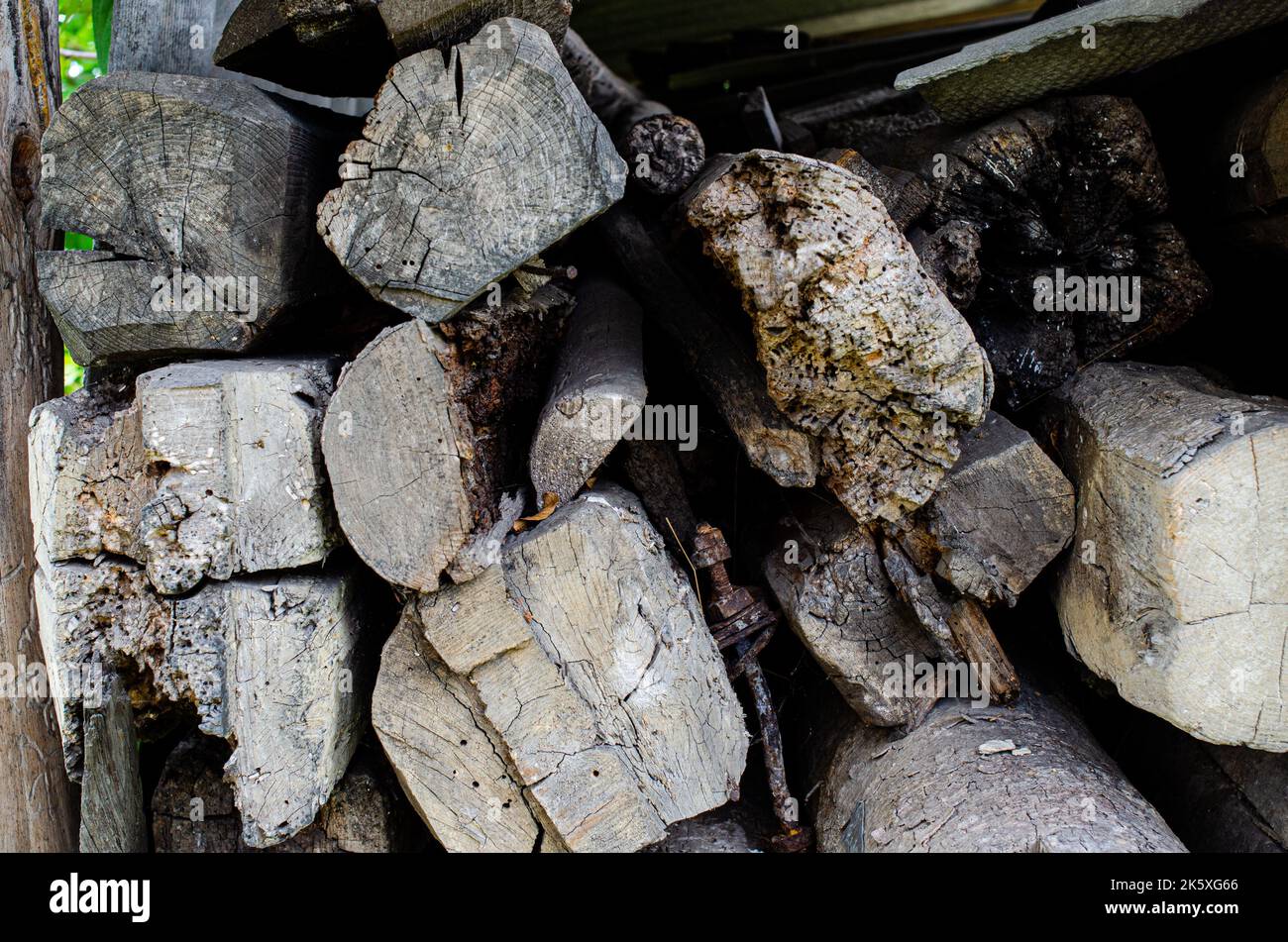 fence made of tree branches boards, Close up of tree trunk in forest ...