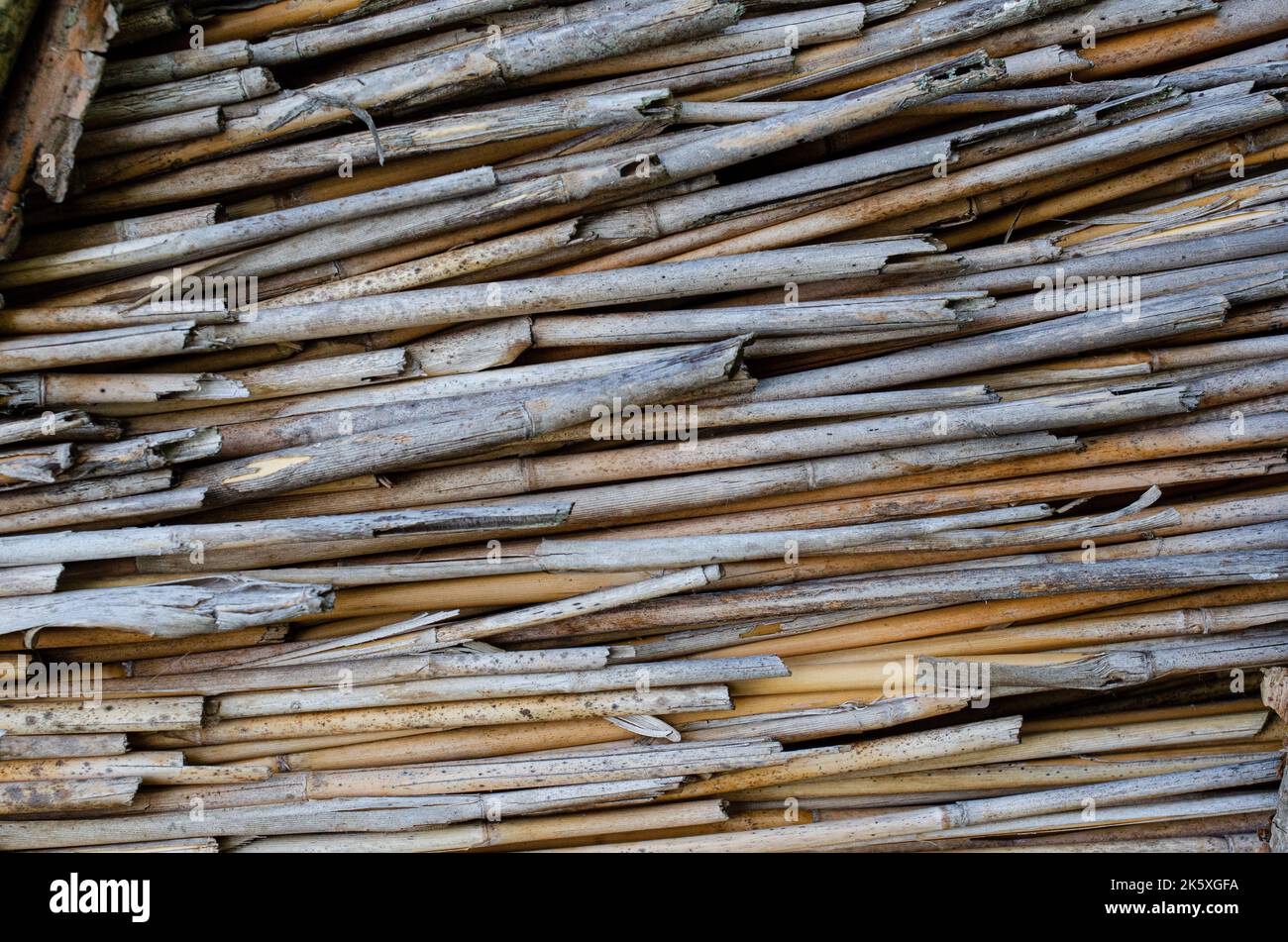 The thatched roof texture of an old house Old straw faded in the sun as ...