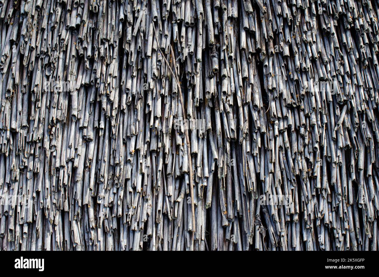 The thatched roof texture of an old house Old straw faded in the sun as ...
