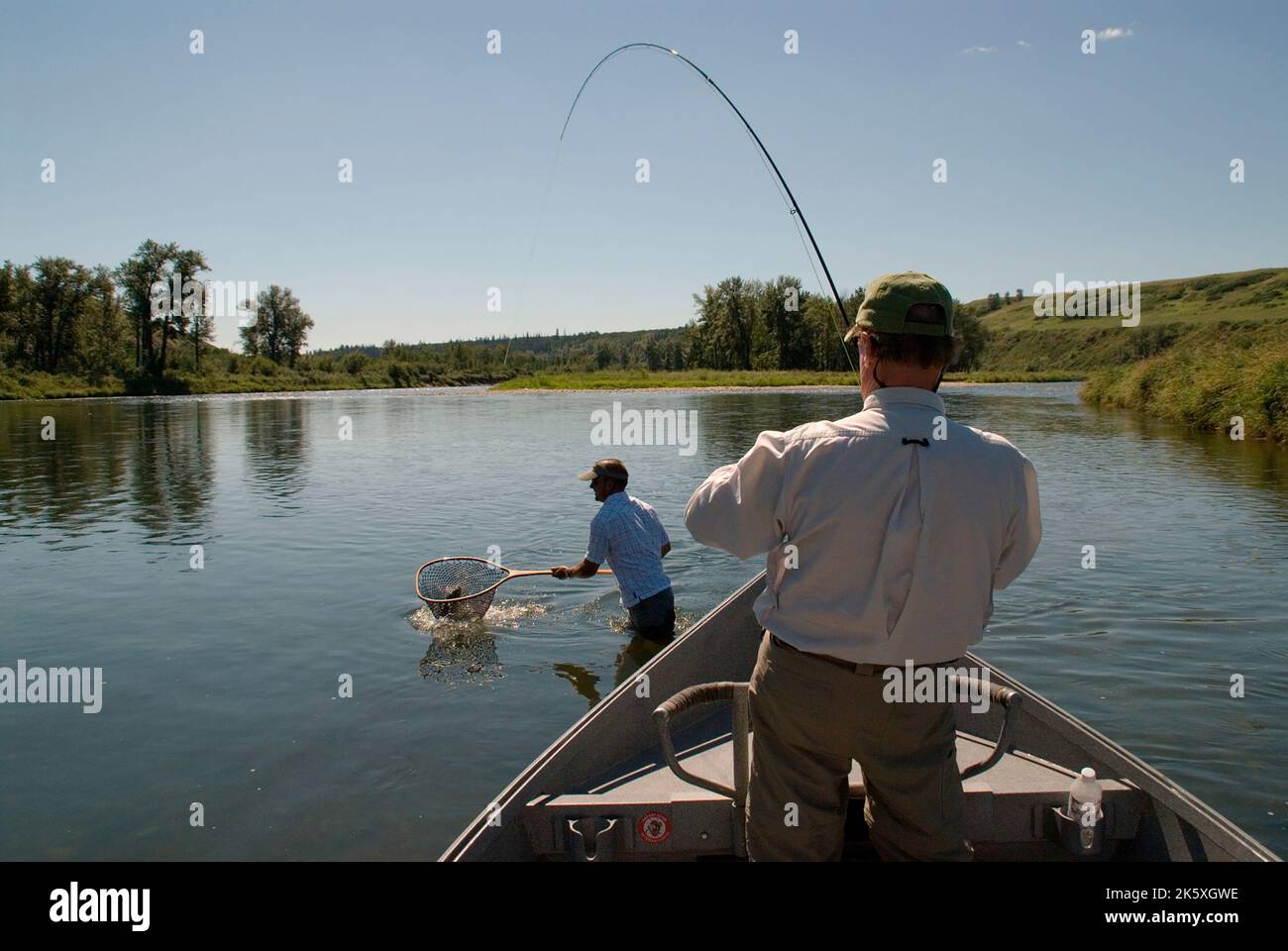 Netting a Brown trout,Bow River,Alberta,Canada Stock Photo - Alamy
