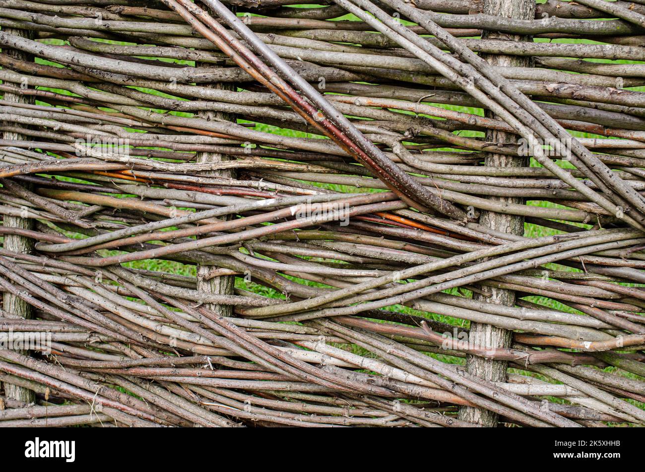 fence made of tree branches boards, Close up of tree trunk in forest ...