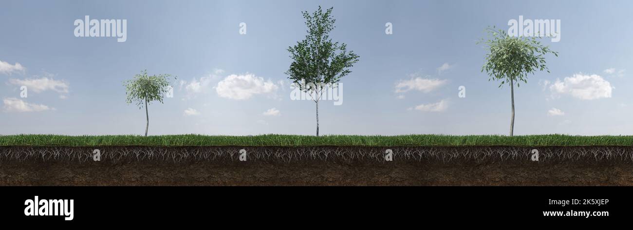 Deciduous tree and soil cut under it, 3d render Stock Photo - Alamy