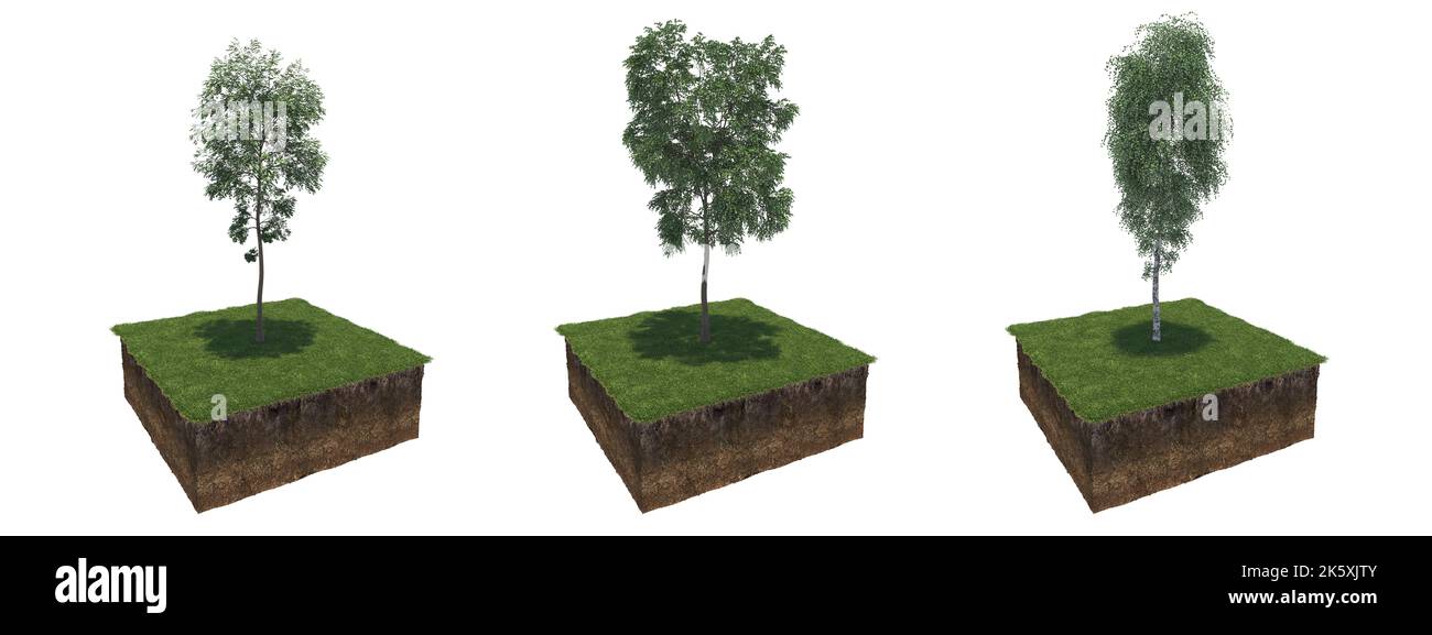 Soil layers cutaway Cut Out Stock Images & Pictures - Alamy