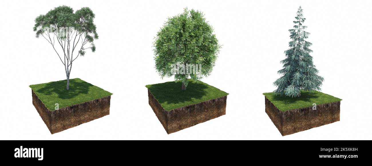 Deciduous tree and soil cut under it, 3d render Stock Photo - Alamy